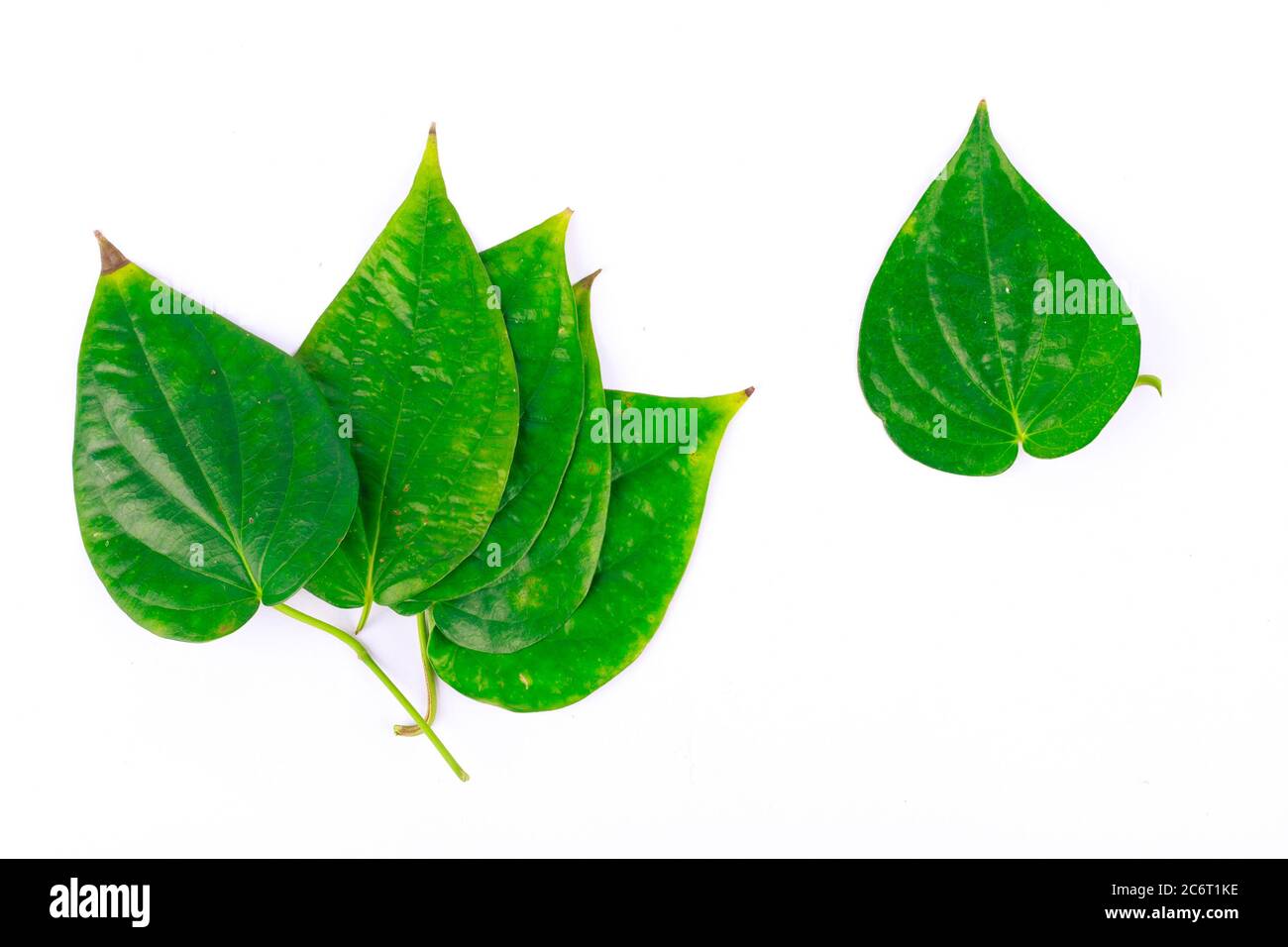 Betel leaf hi-res stock photography and images - Alamy