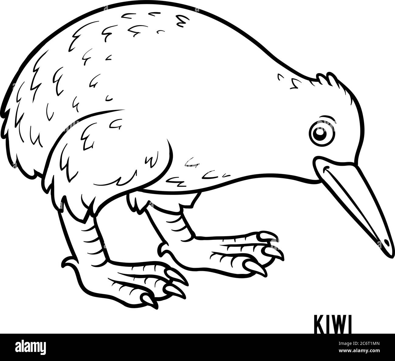 Kiwi bird new zealand Black and White Stock Photos & Images - Alamy