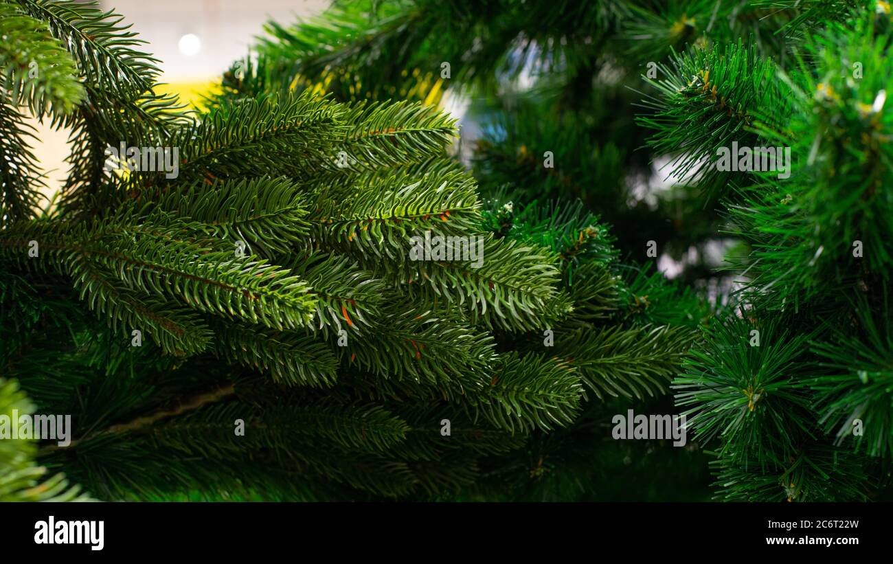 Artificial Christmas tree, green spruce branch, close-up background ...