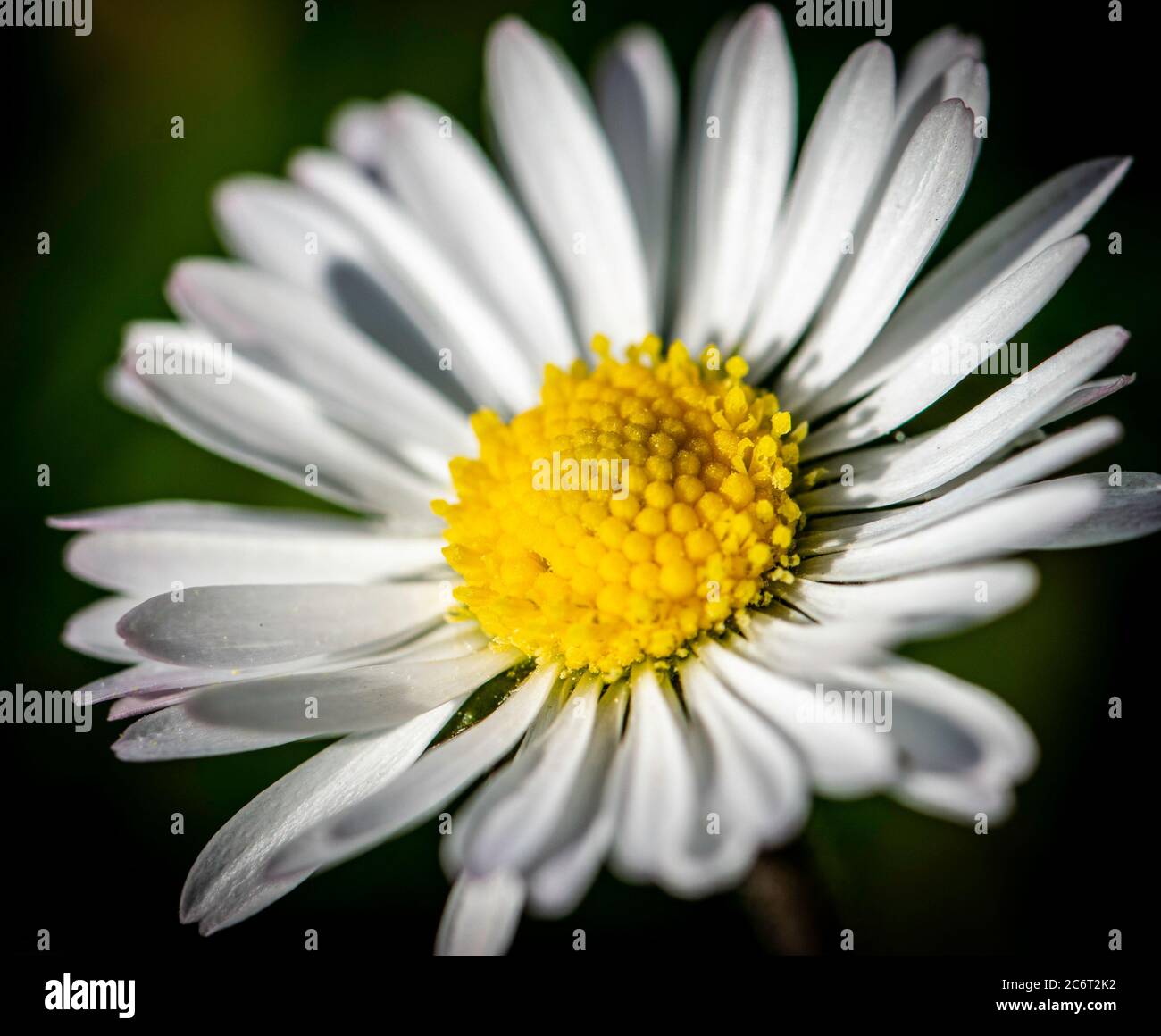 Soaking up the sunshine hi-res stock photography and images - Alamy