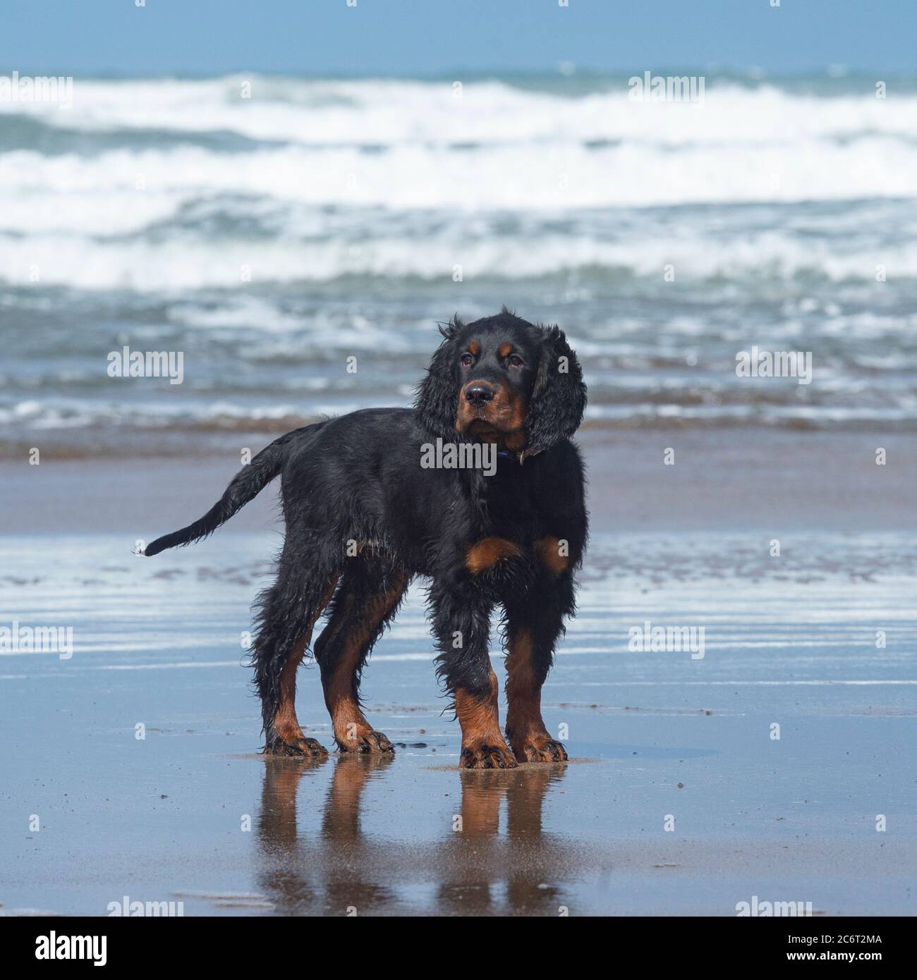 Gordon beach hi-res stock photography and images - Alamy