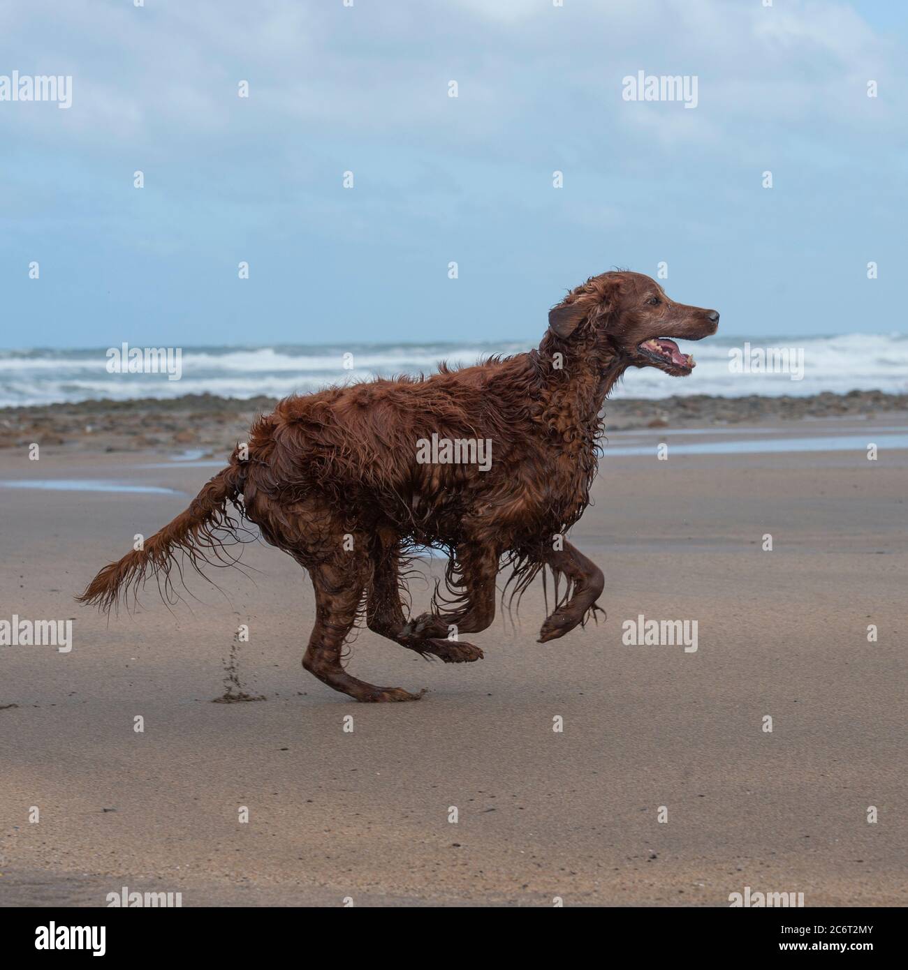 Irish ocean hi-res stock photography and images - Alamy