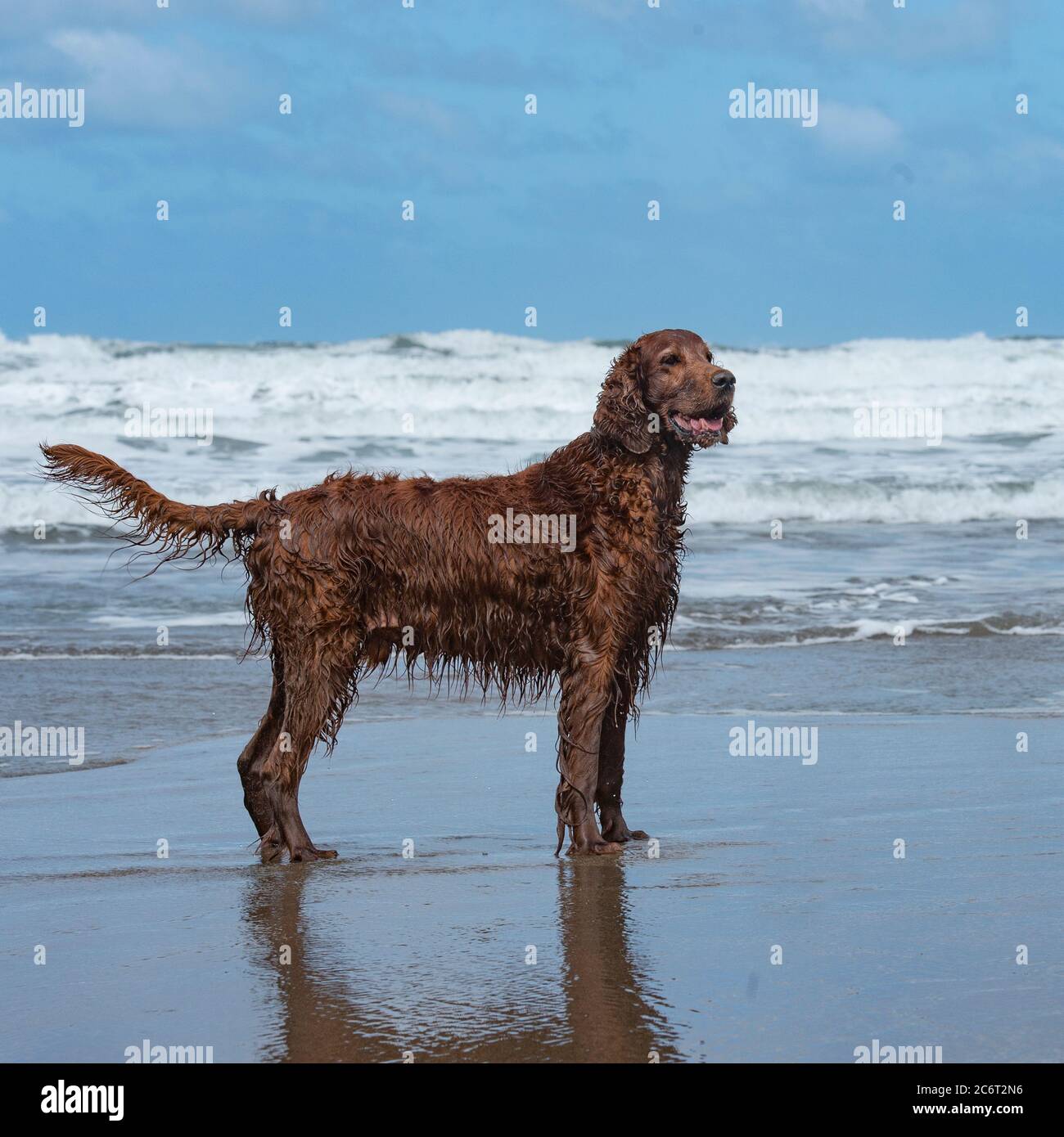 Irish holiday hi-res stock photography and images - Alamy