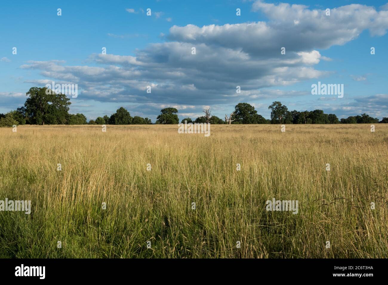 Clewer park windsor hi-res stock photography and images - Alamy