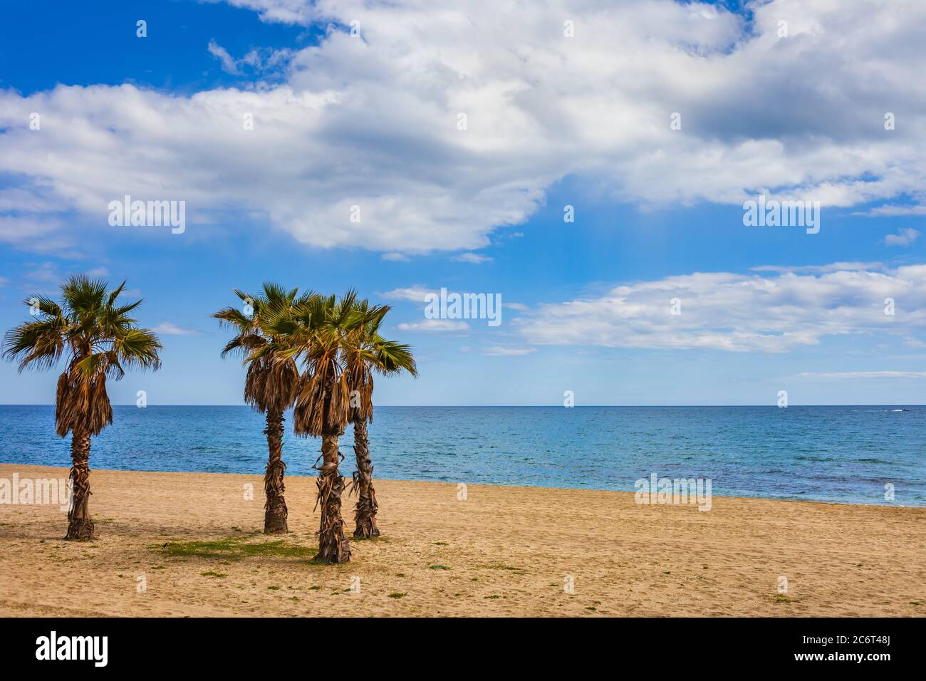Empty sandy beach with palm trees and the sea at Costa del Sol ...
