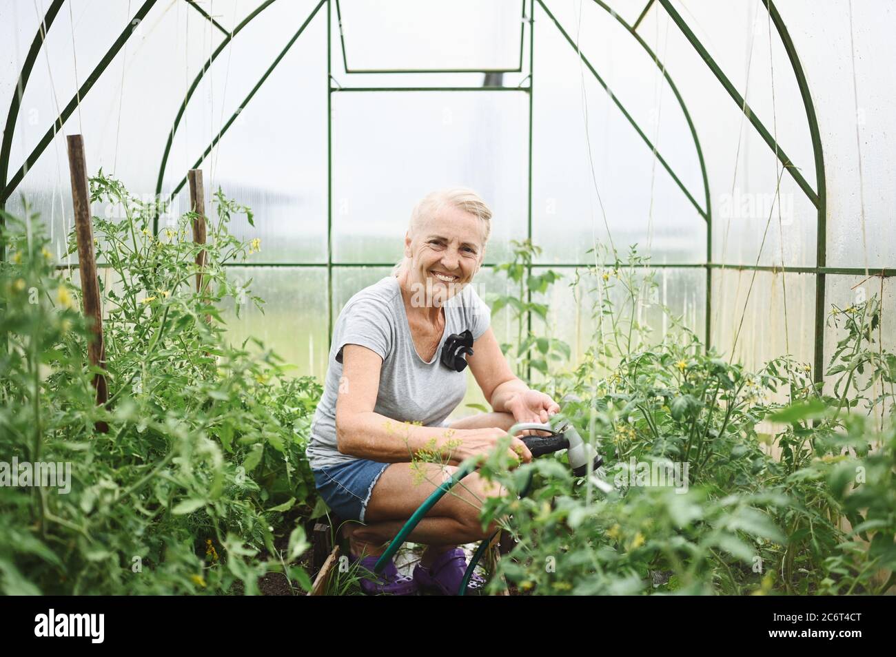 Mature elderly woman watering plants with water hose. Farming ...