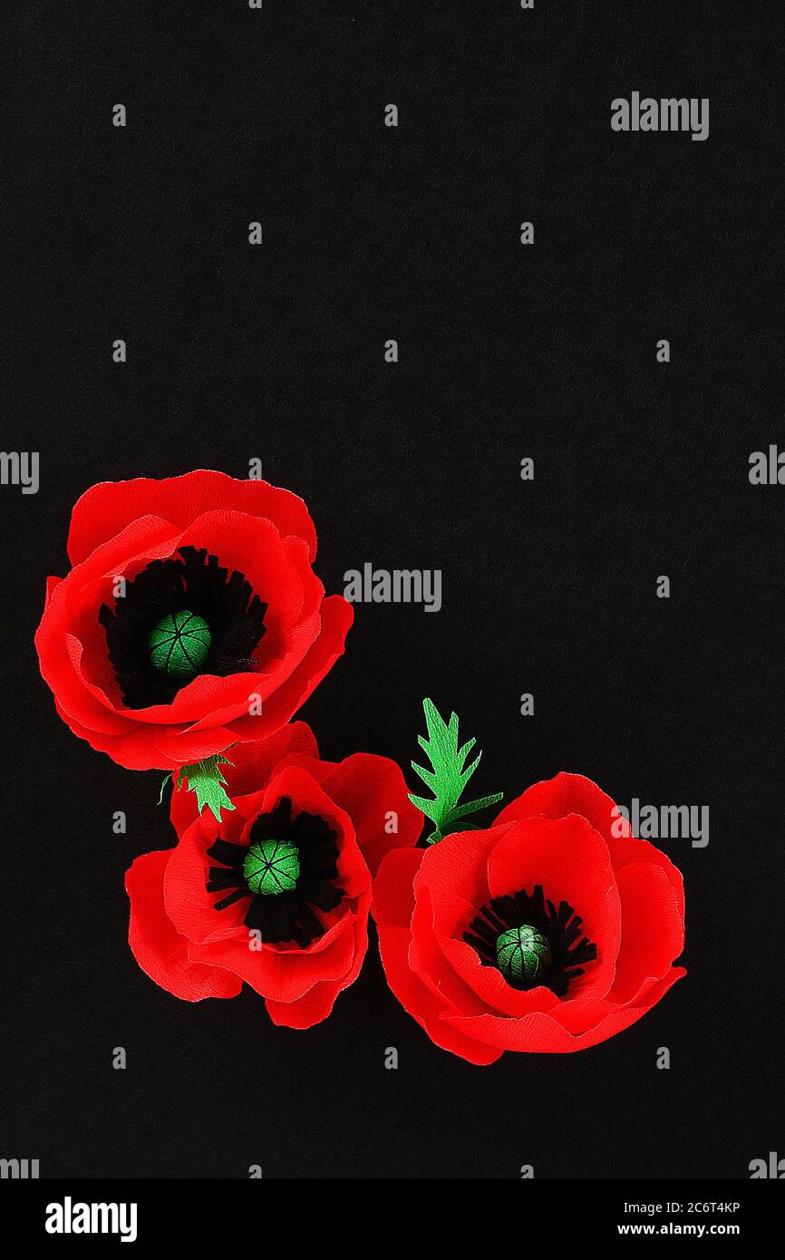 Diy paper red poppy Anzac Day, Remembrance, Remember, Memorial day made ...
