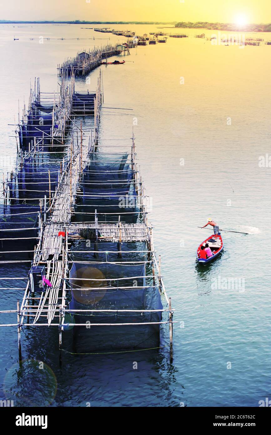 An Asian farmer feeding seawater fish in fish farming cage in a coastal ...