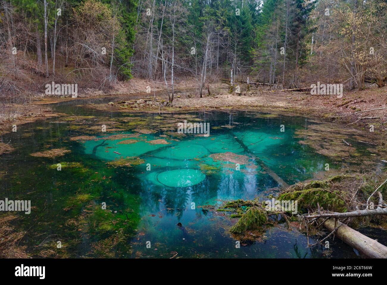 Saula blue springs pond (siniallikas). Tranquil blue and green grades ...