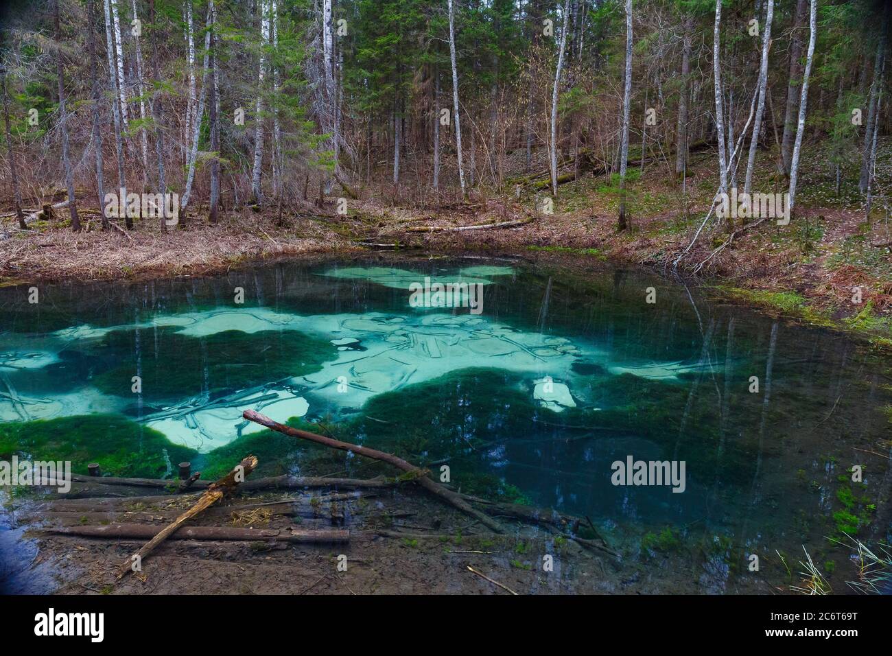 Saula blue springs pond (siniallikas). Tranquil blue and green grades ...