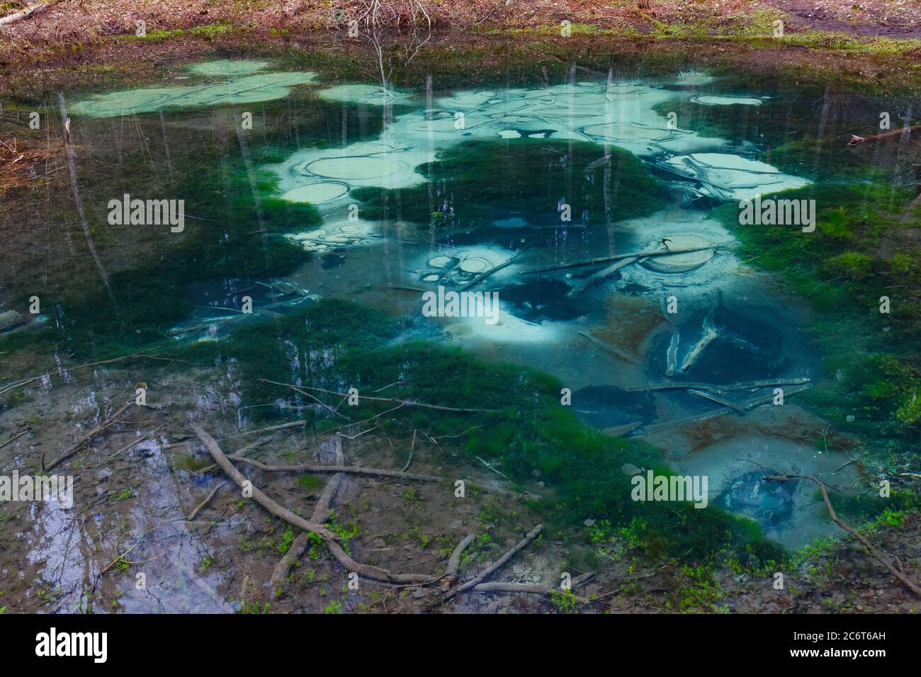 Saula blue springs pond (siniallikas). Tranquil blue and green grades ...