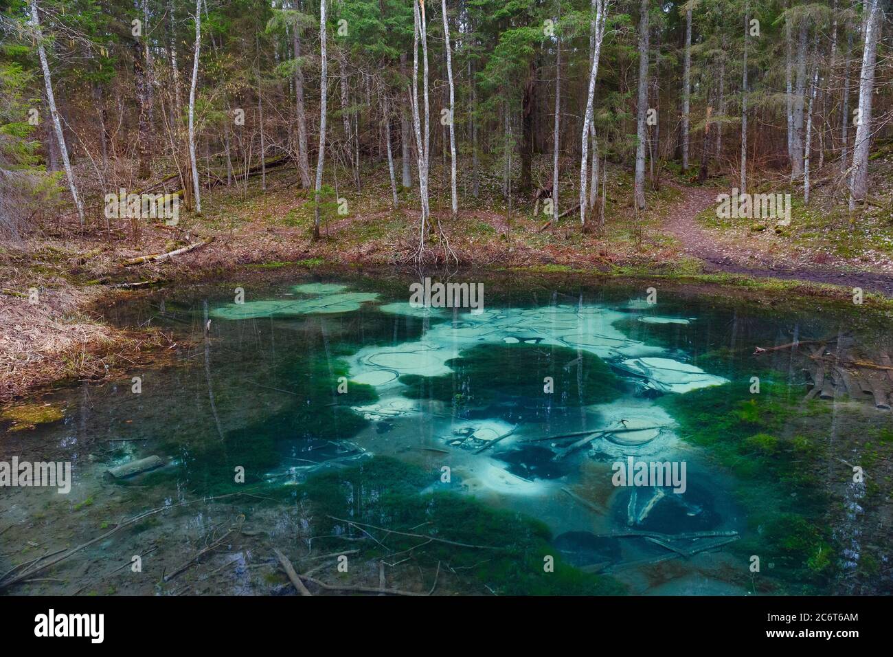 Saula blue springs pond (siniallikas). Tranquil blue and green grades ...