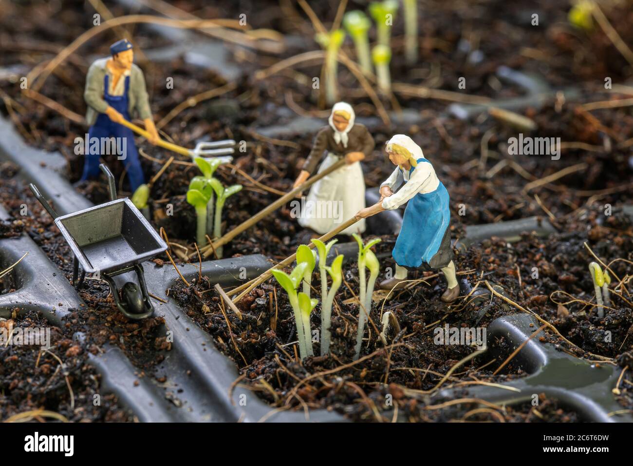 Miniature people gardeners working with planting tree on the morning ...