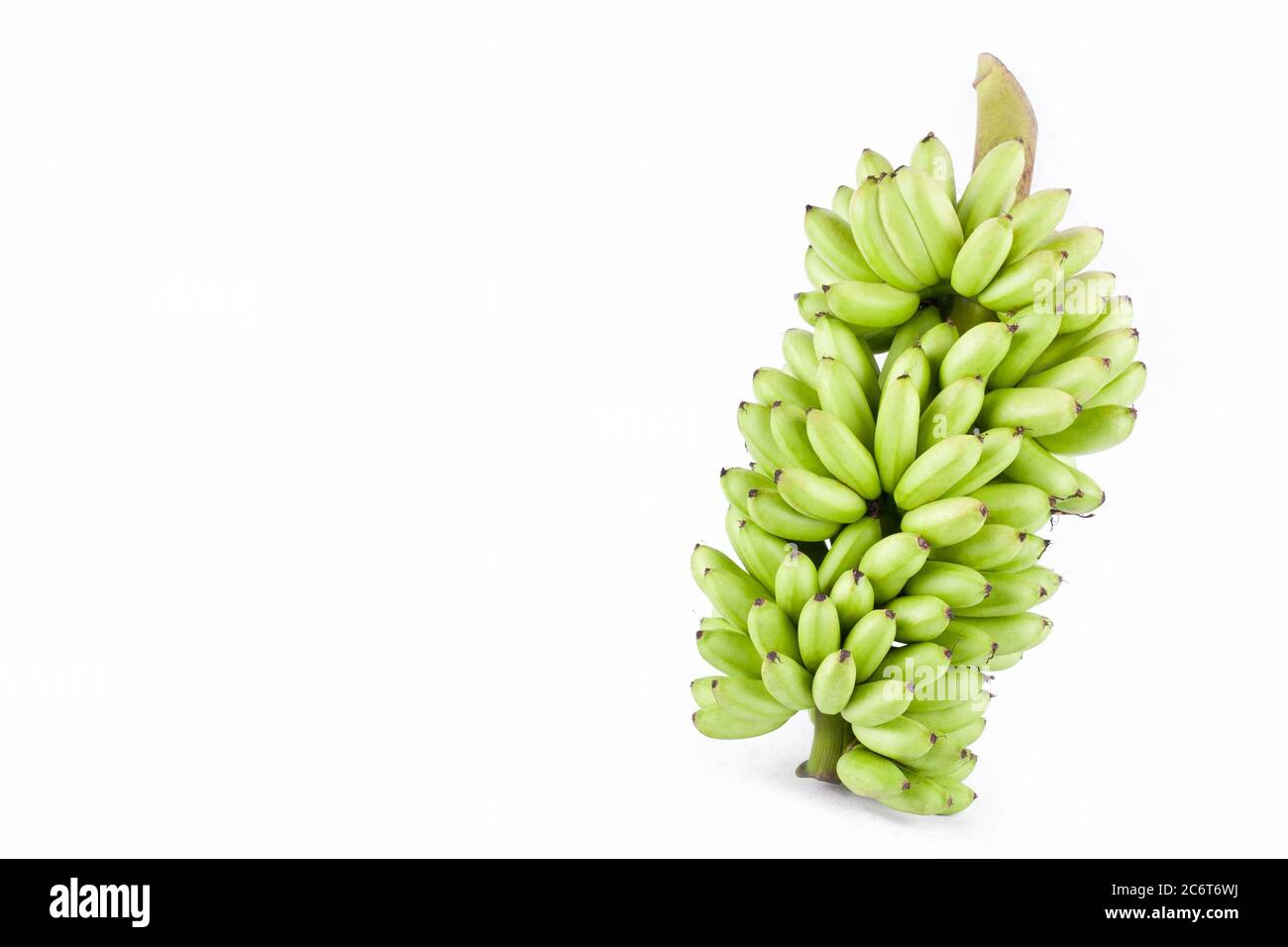 bundle of fresh raw Lady Finger banana on white background healthy ...