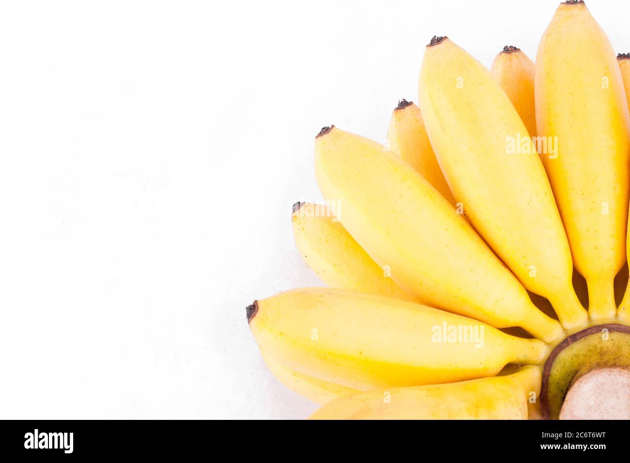 golden bananas or egg bananas are Musaceae family on white background ...