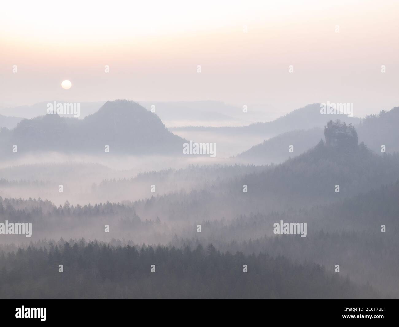 Amazing beech forests hi-res stock photography and images - Alamy