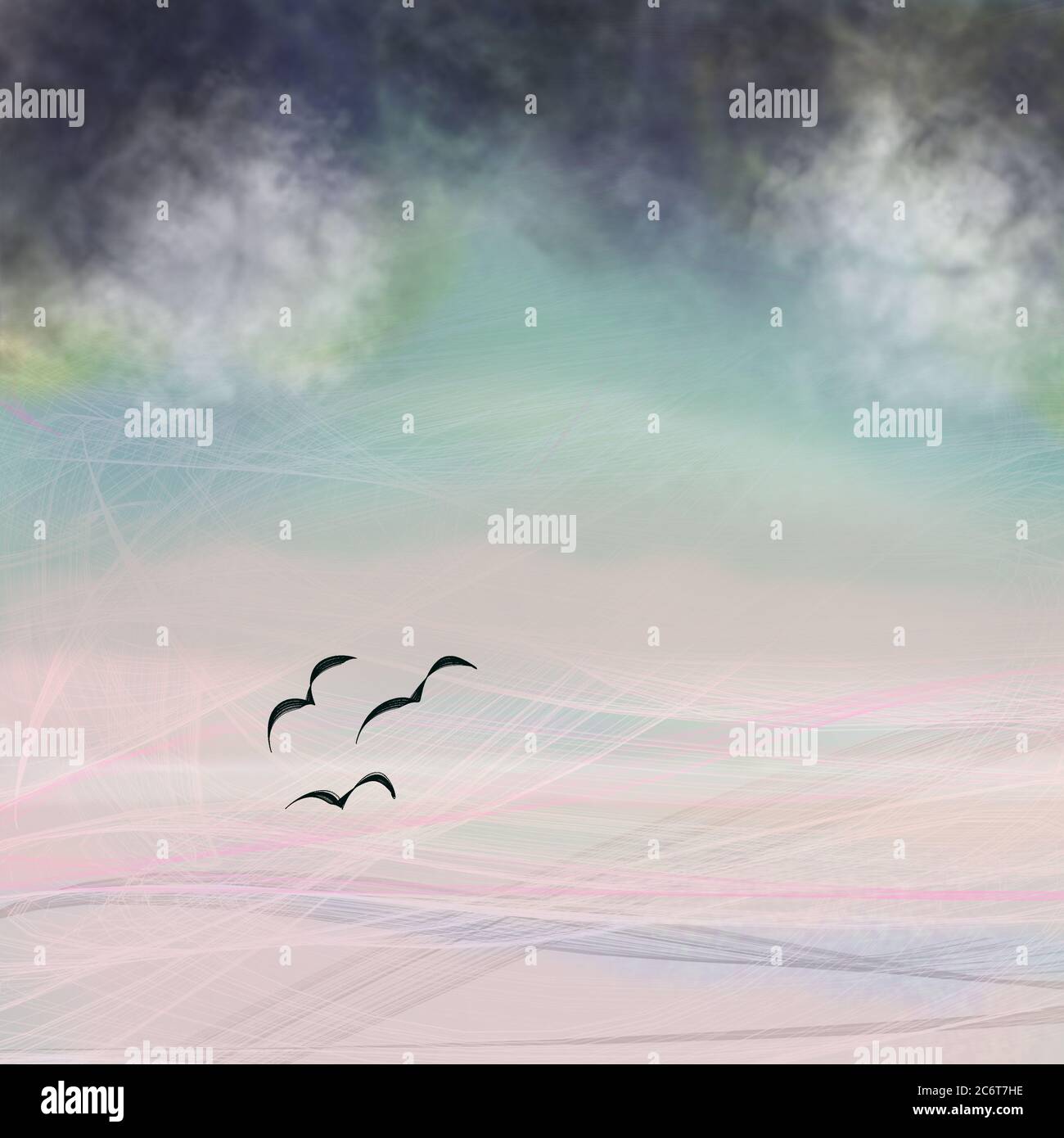 Three birds flying up in the sky with colourful clouds Stock Photo - Alamy