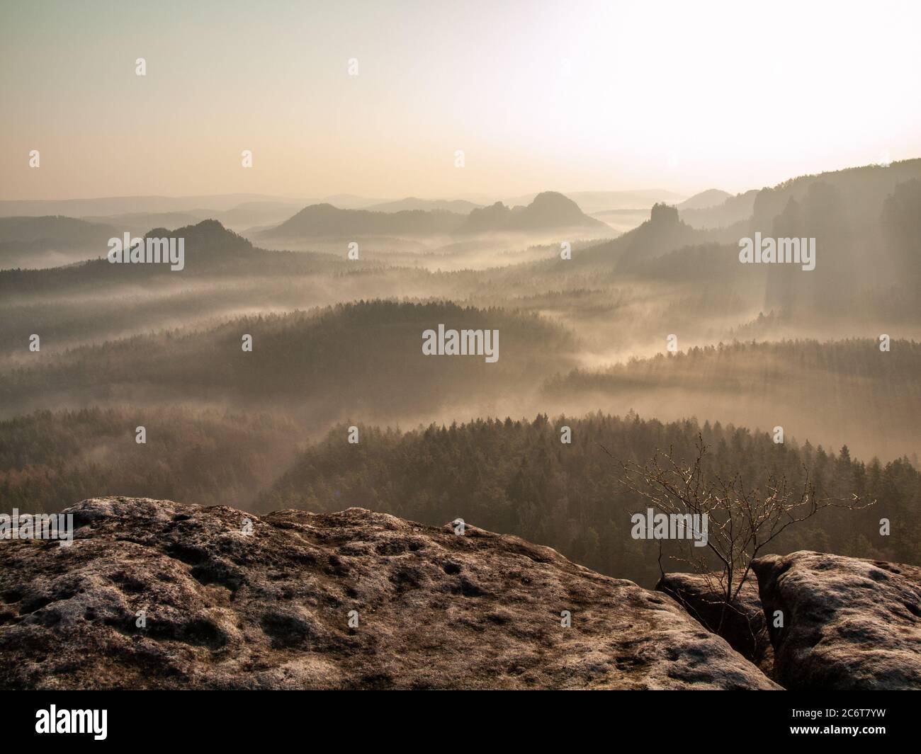 Natural landscape of fog and mist with mountain and treelines Stock ...