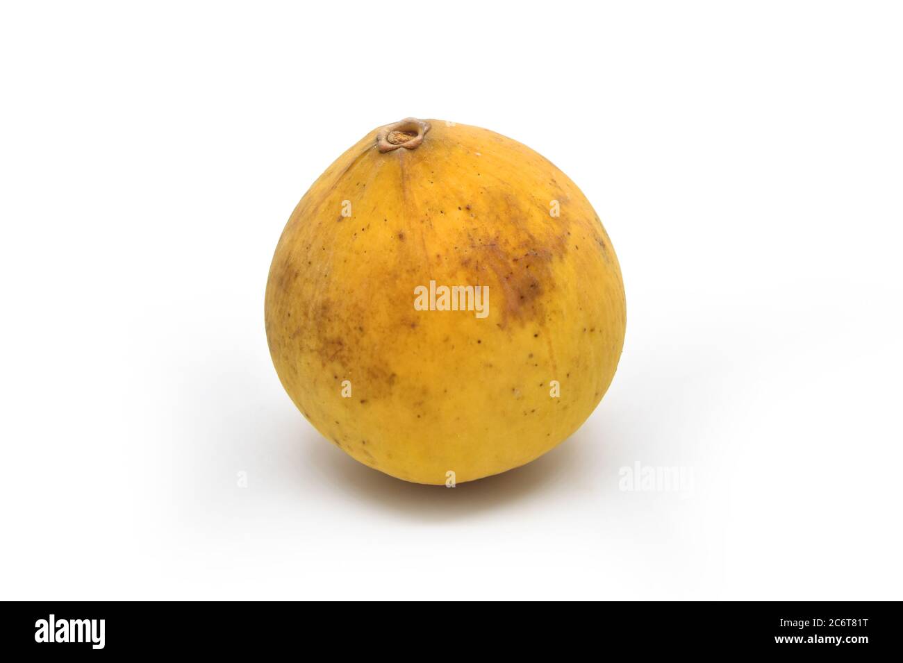 The santol is native to the Malesian floristic region, but have been ...