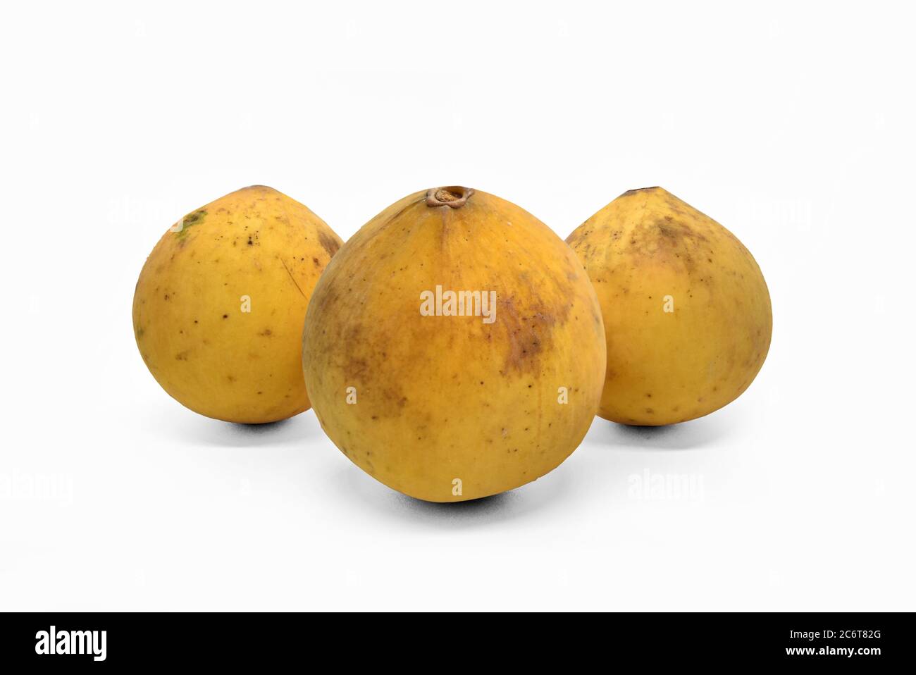 Sri lanka and australia Cut Out Stock Images & Pictures - Alamy