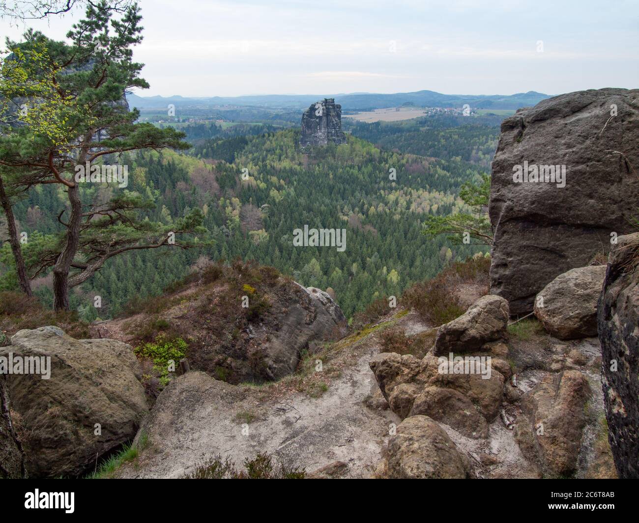 Sigle tree hi-res stock photography and images - Alamy