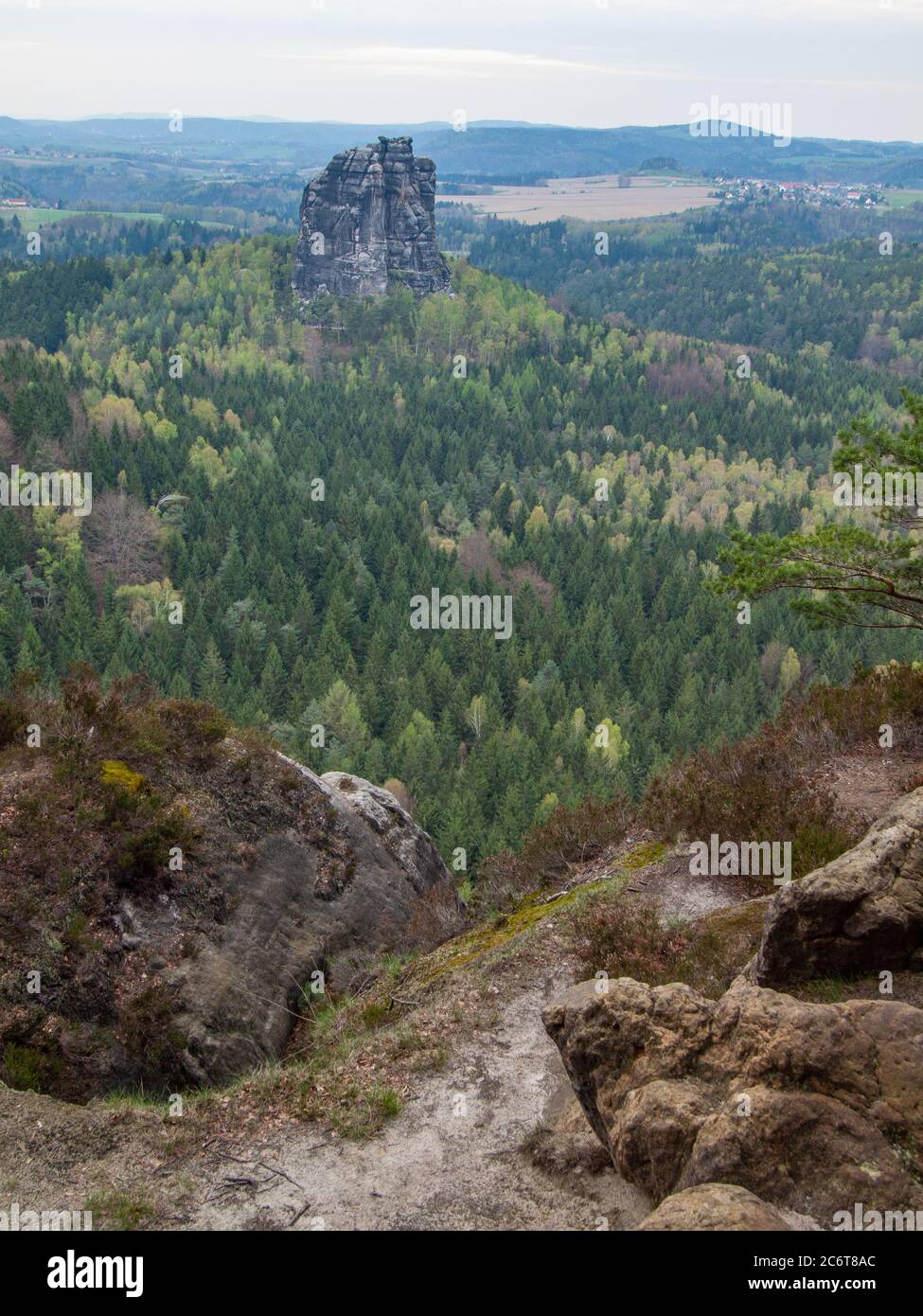 Sigle tree hi-res stock photography and images - Alamy