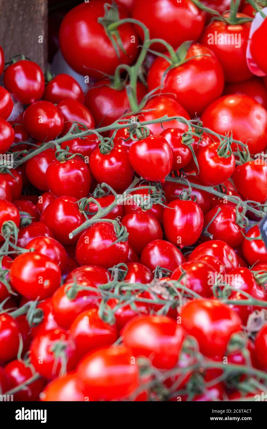 Organic vine tomatoes on display in a greengrocers Stock Photo - Alamy