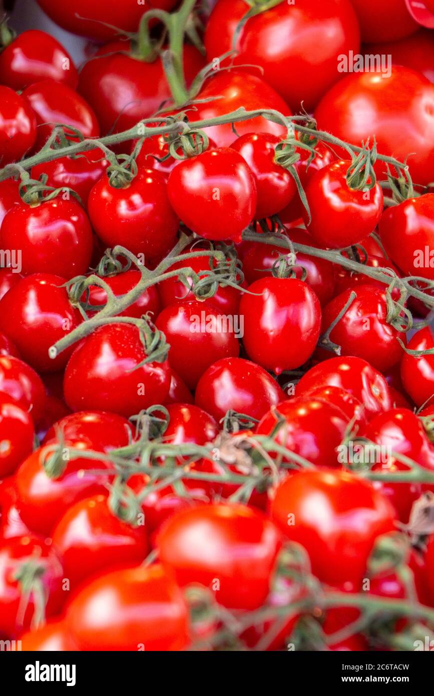 Organic vine tomatoes on display in a greengrocers Stock Photo - Alamy