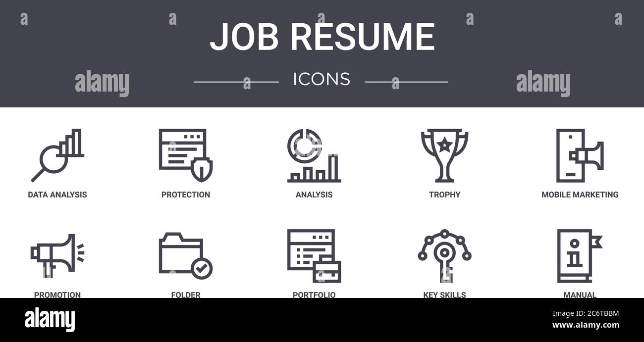 job resume concept line icons set. contains icons usable for web, logo ...