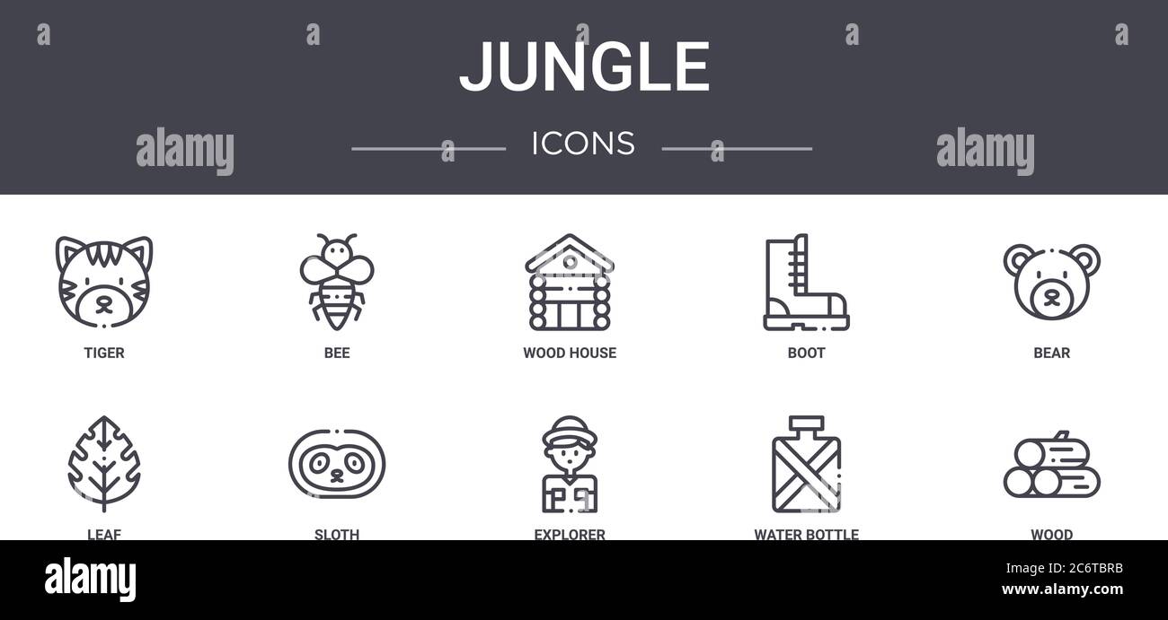 jungle concept line icons set. contains icons usable for web, logo, ui ...