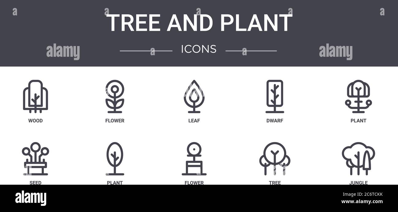 tree and plant concept line icons set. contains icons usable for web ...