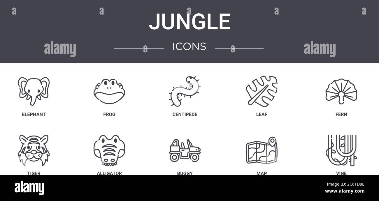 jungle concept line icons set. contains icons usable for web, logo, ui ...