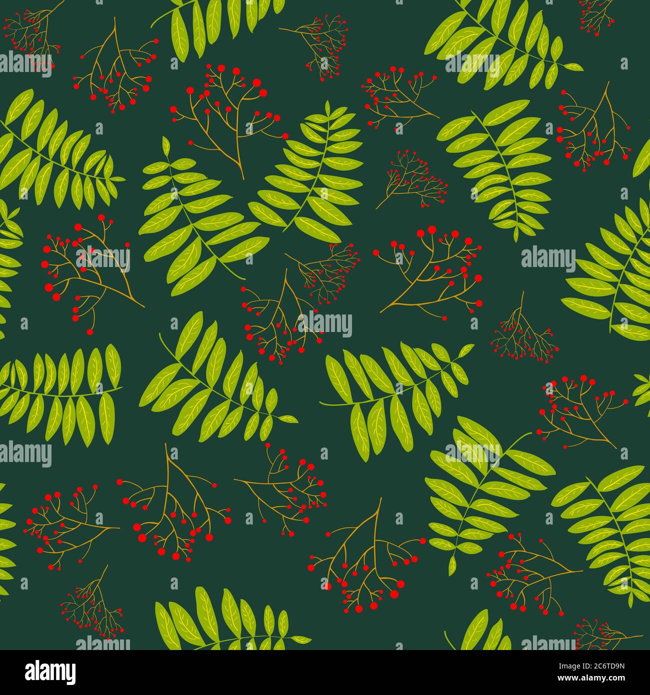 Rowan tree fruit Stock Vector Images - Alamy