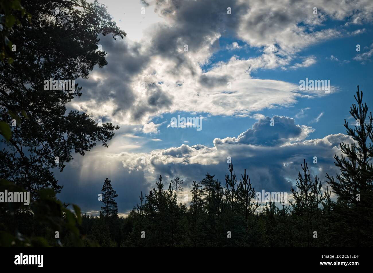 Peaceful summer nature scenes hi-res stock photography and images - Alamy