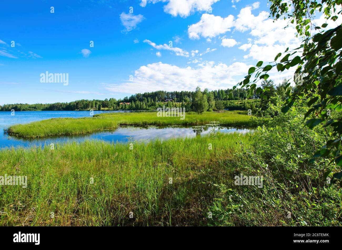 Peaceful summer nature scenes hi-res stock photography and images - Alamy