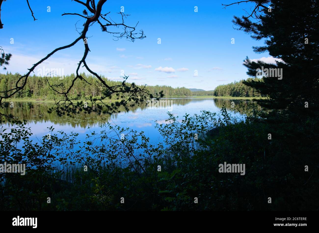 Peaceful summer nature scenes hi-res stock photography and images - Alamy