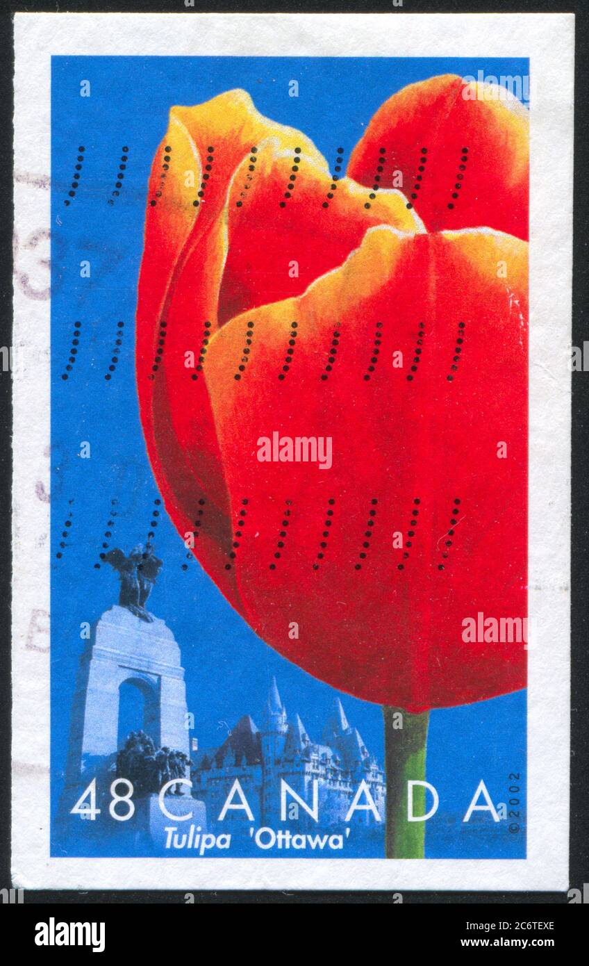 CANADA - CIRCA 2002: stamp printed by Canada, shows Tulip Ottawa, circa ...
