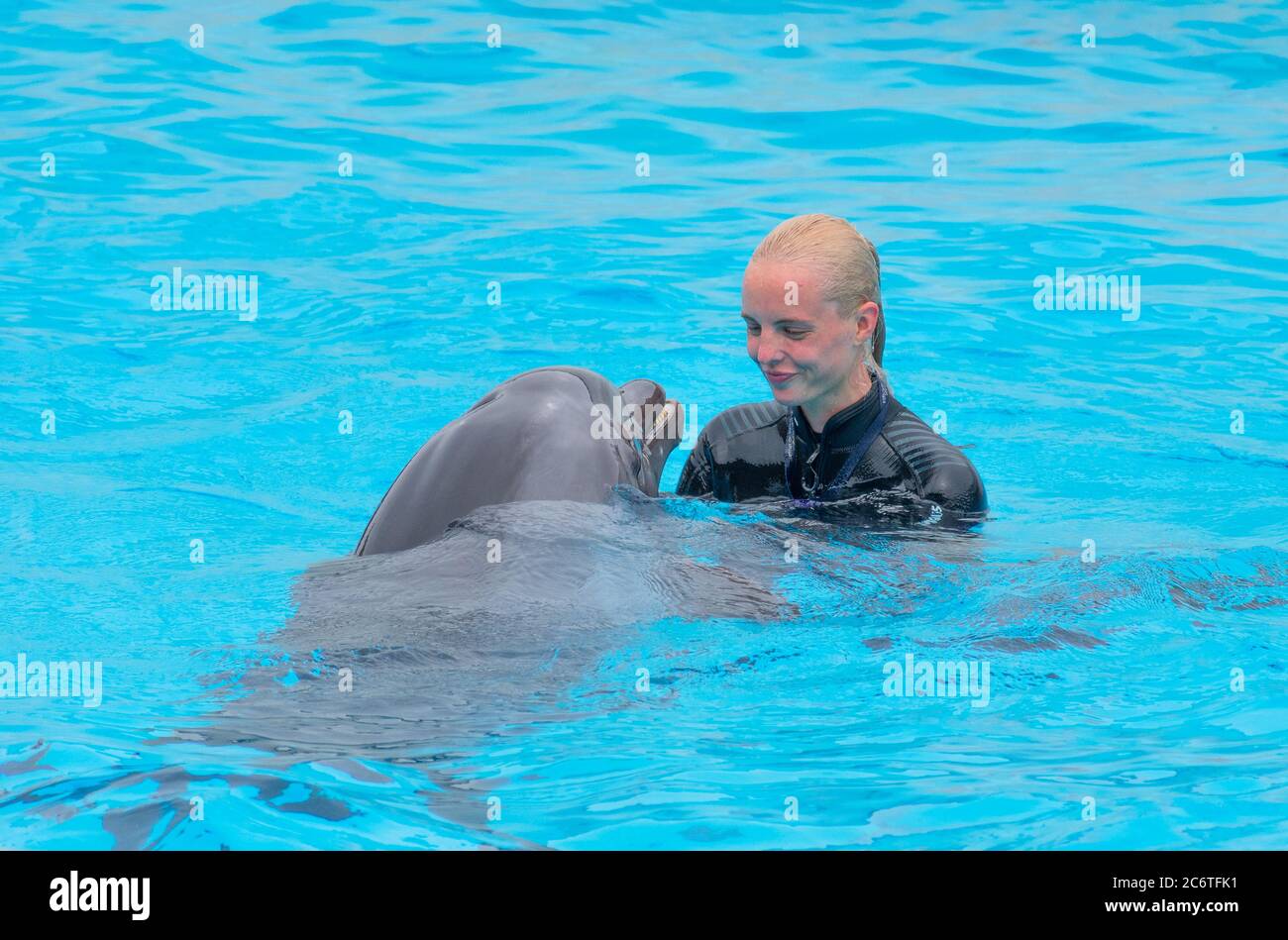Dolphin park underwater hi-res stock photography and images - Alamy
