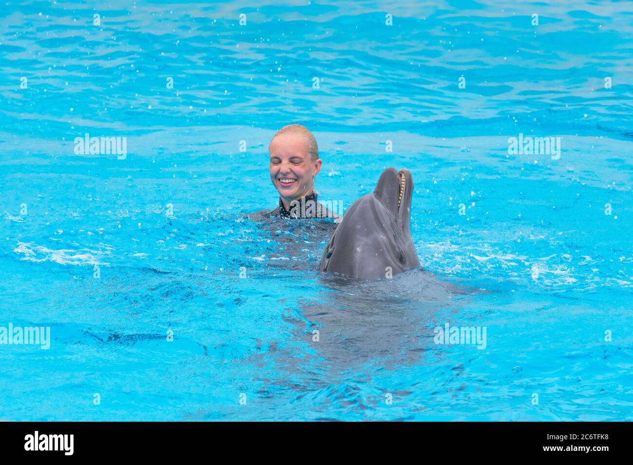 Dolphin Hug High Resolution Stock Photography and Images - Alamy