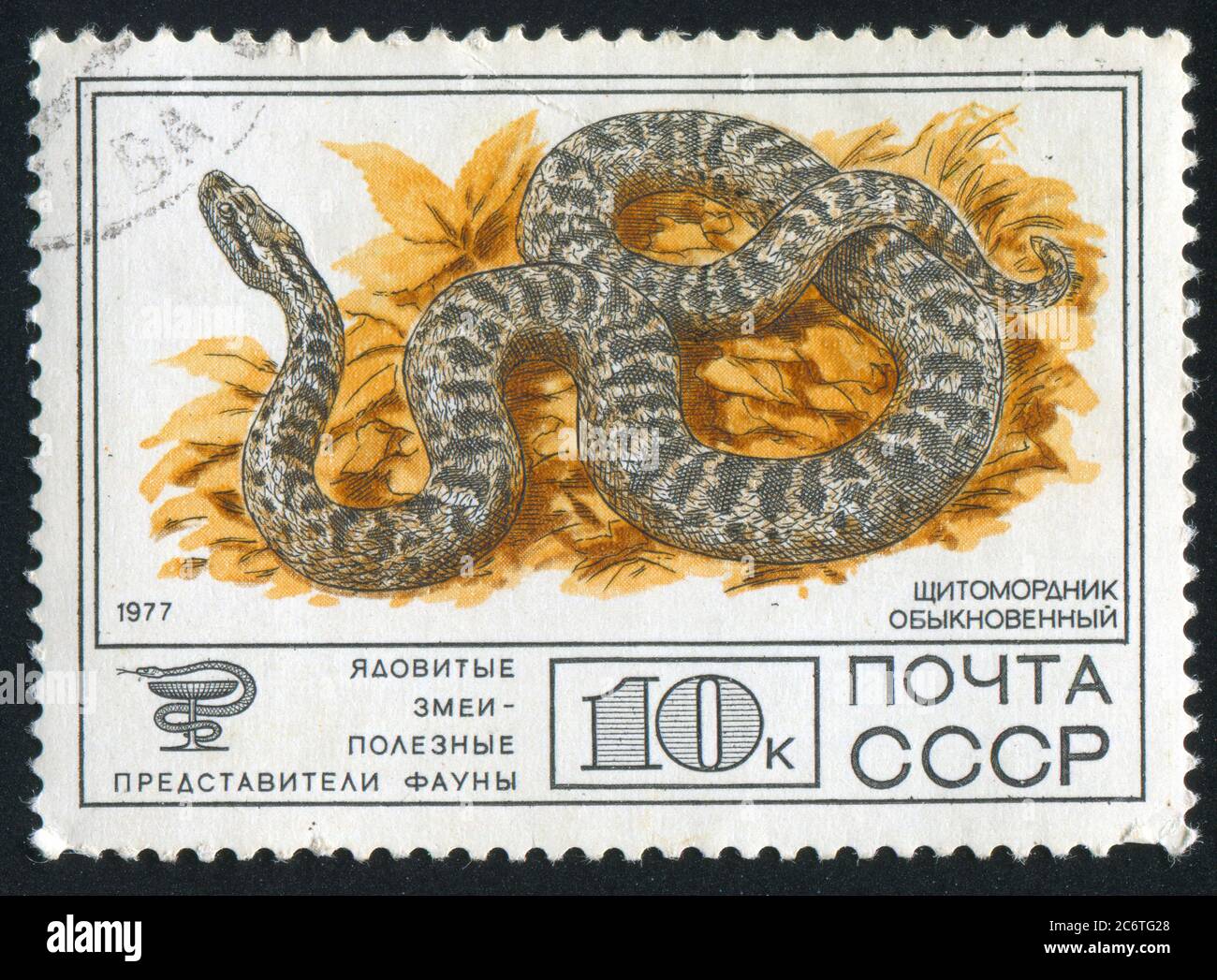 RUSSIA - CIRCA 1977: stamp printed by Russia, shows Venomous snakes ...
