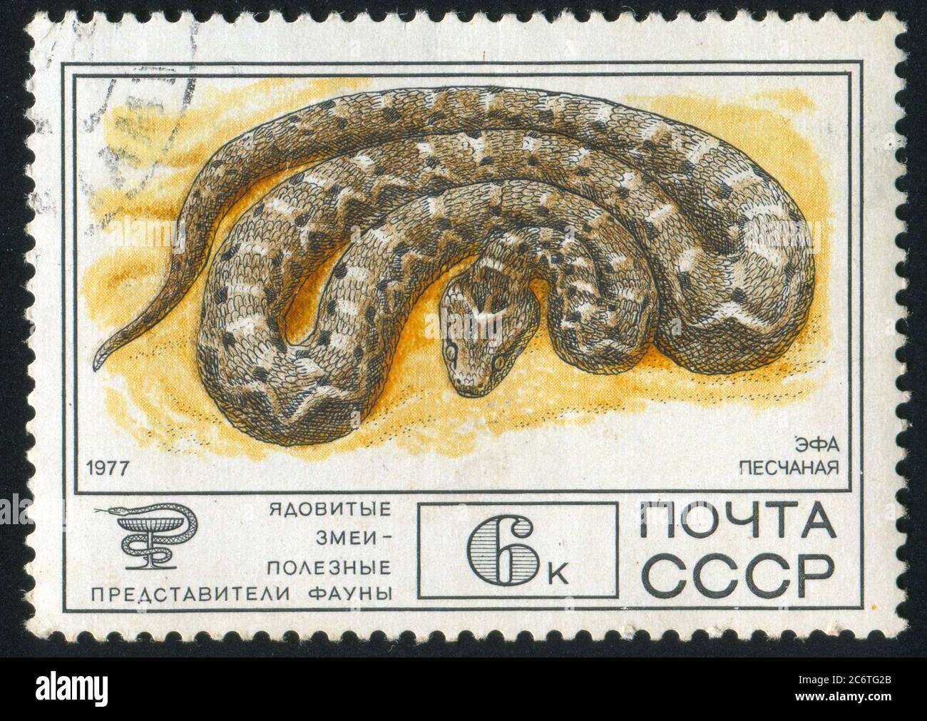 RUSSIA - CIRCA 1977: stamp printed by Russia, shows Venomous snakes ...