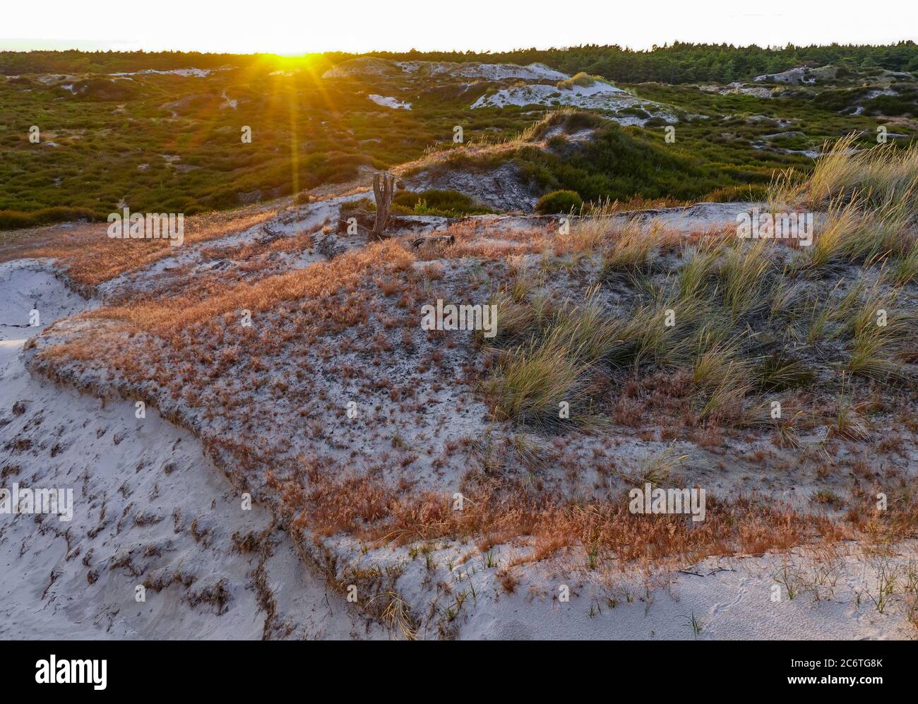01 July 2020, Denmark, Dueodde: The dunes of Dueodde in the light of ...