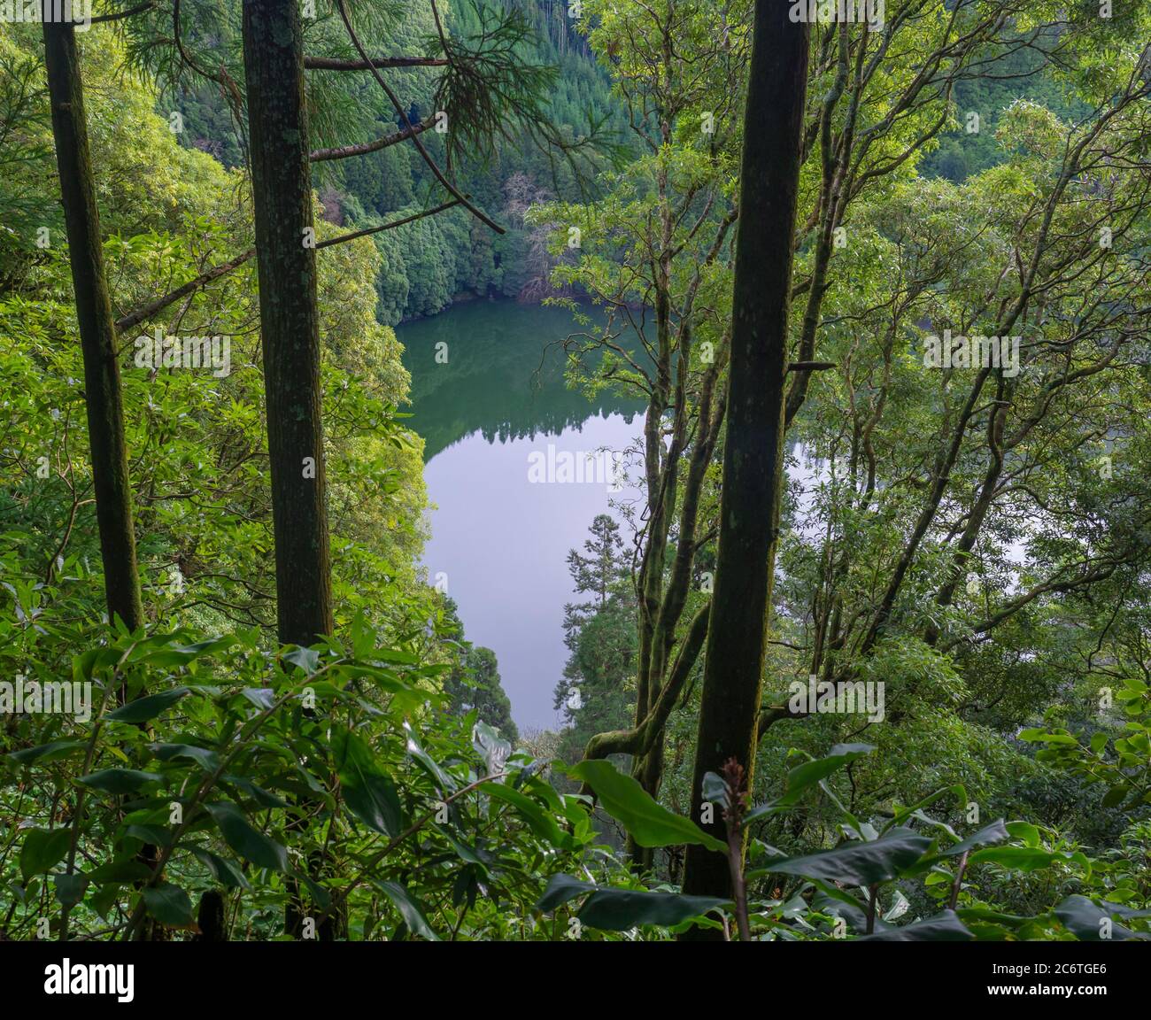 View though trees over green volcanic lake Lagoa do Congro hidden in ...