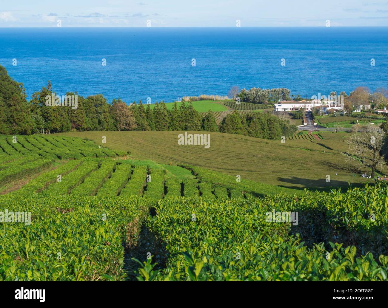 Agriculture In Portugal High Resolution Stock Photography and Images ...