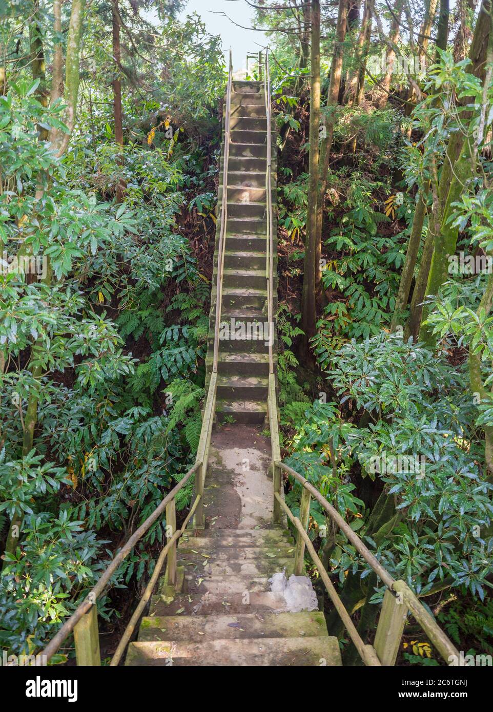 Old narrow steps with wooden rail across forest stream on footpath ...