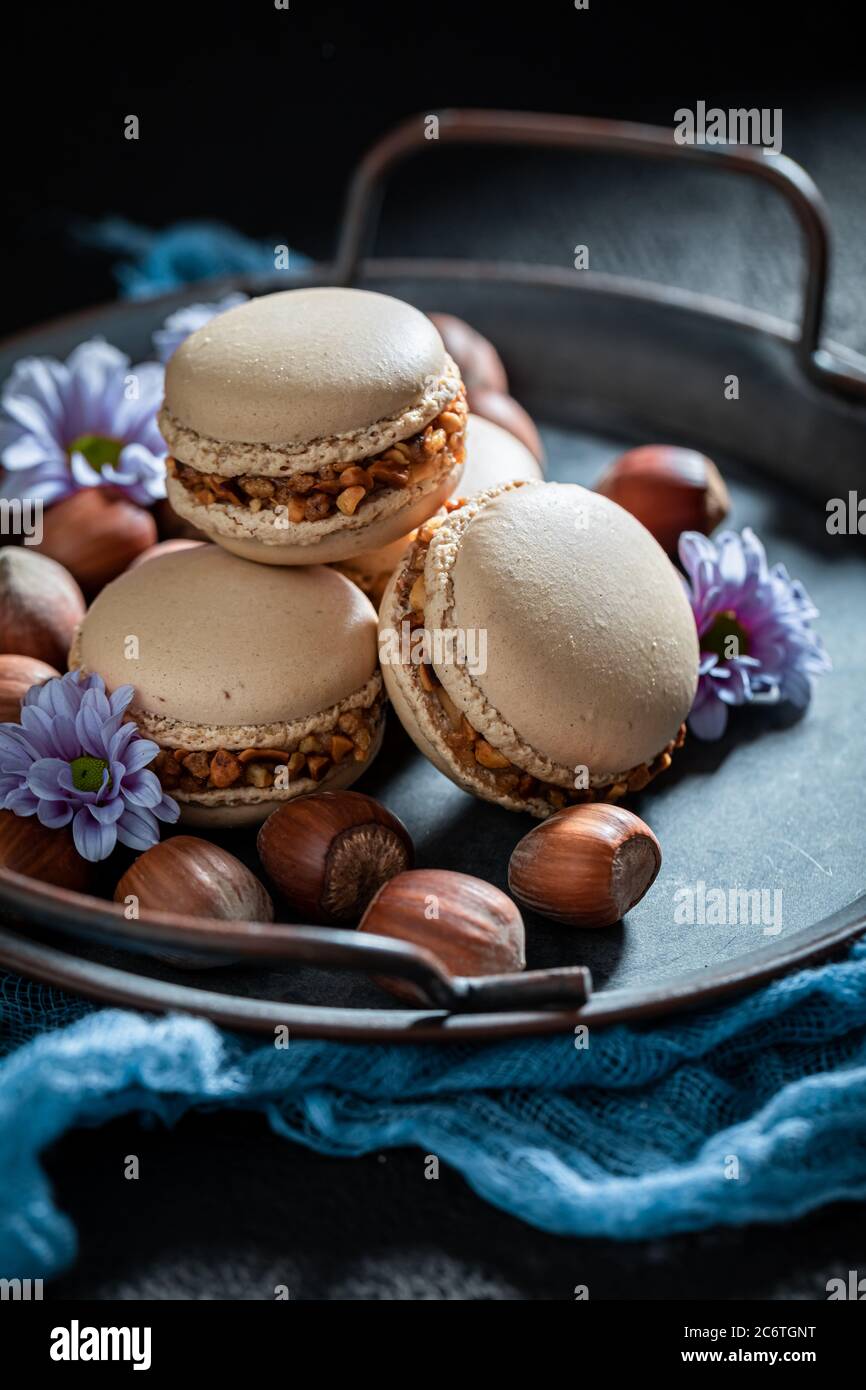 Delicious hazelnut macaroons made of hazelnut and walnut Stock Photo ...
