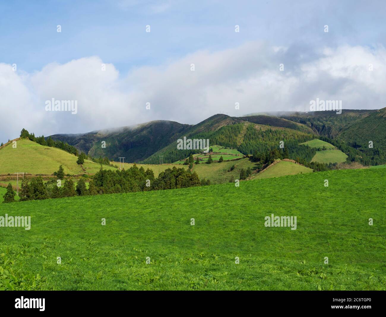 Lush green grass hills with fields and pastures, blue sky and white ...