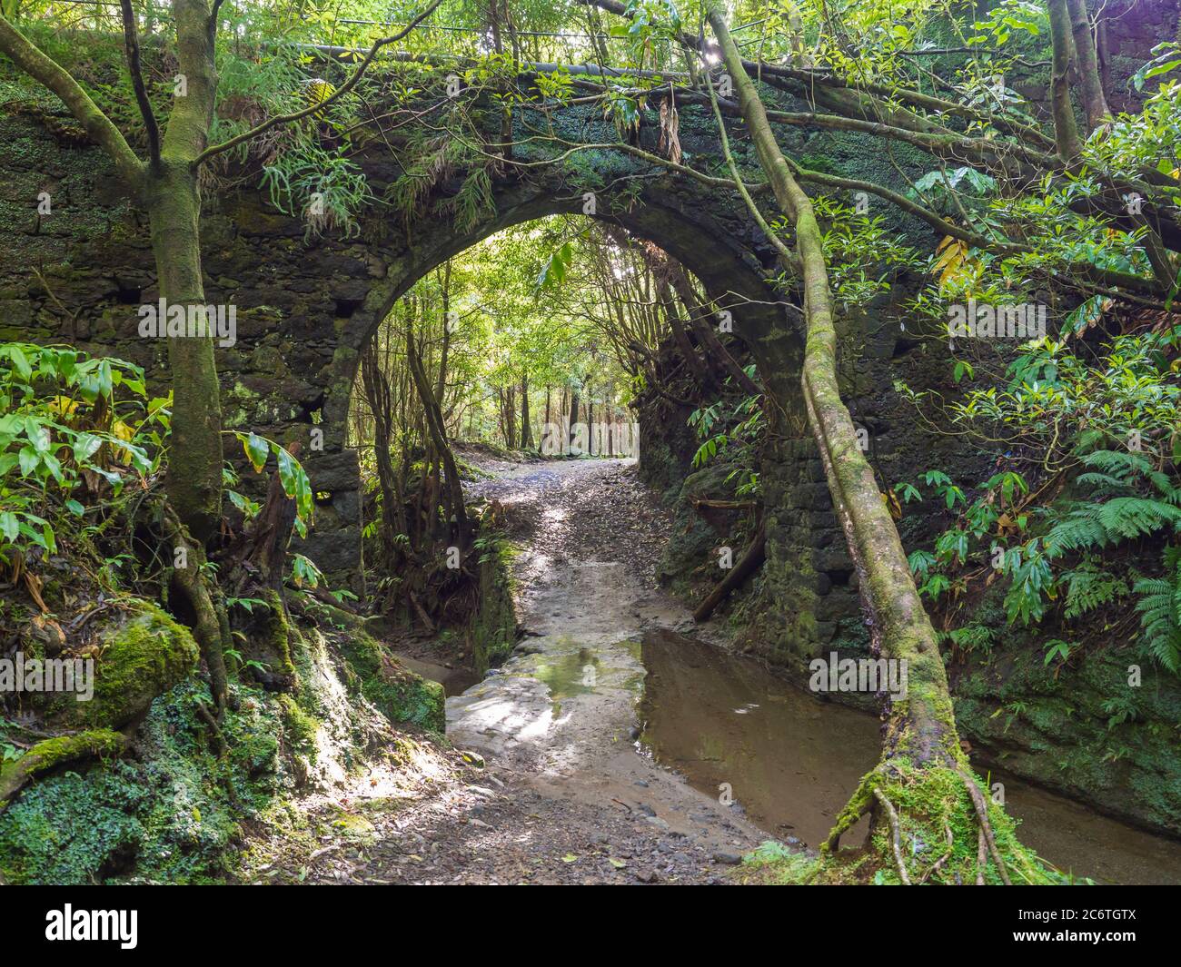 old stone water-conduit bridge covered by moss and lush vegetation on ...
