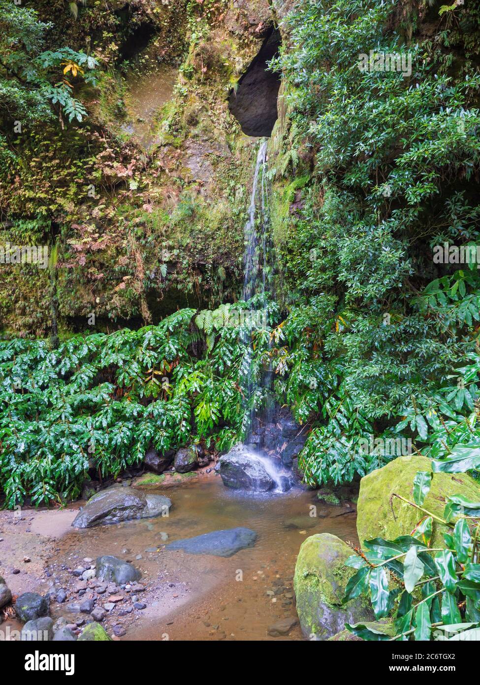 Waterfall cascade falling from rock cave covered by moss and lush ...