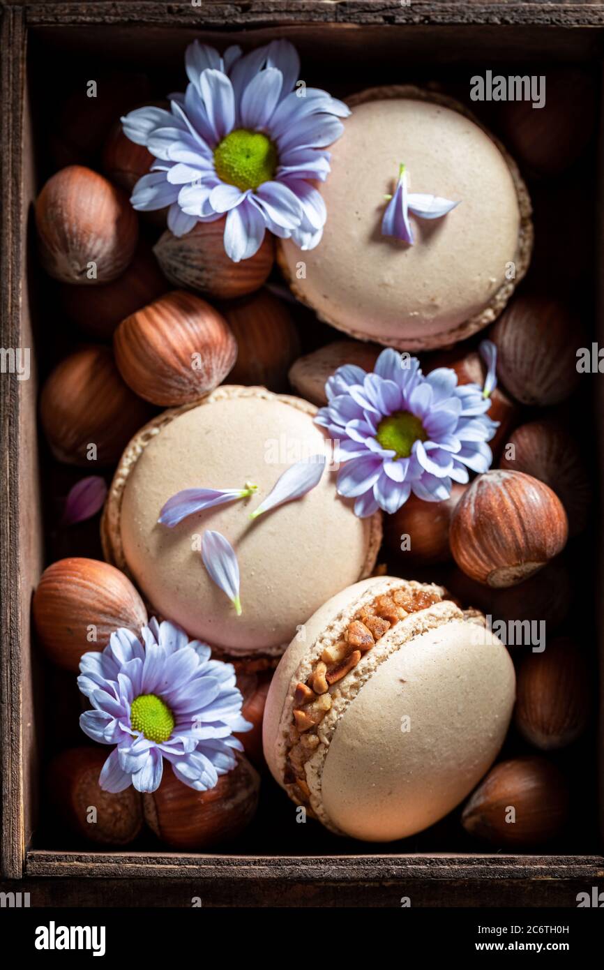 Homemade hazelnut macaroons made of hazelnut and walnut Stock Photo - Alamy